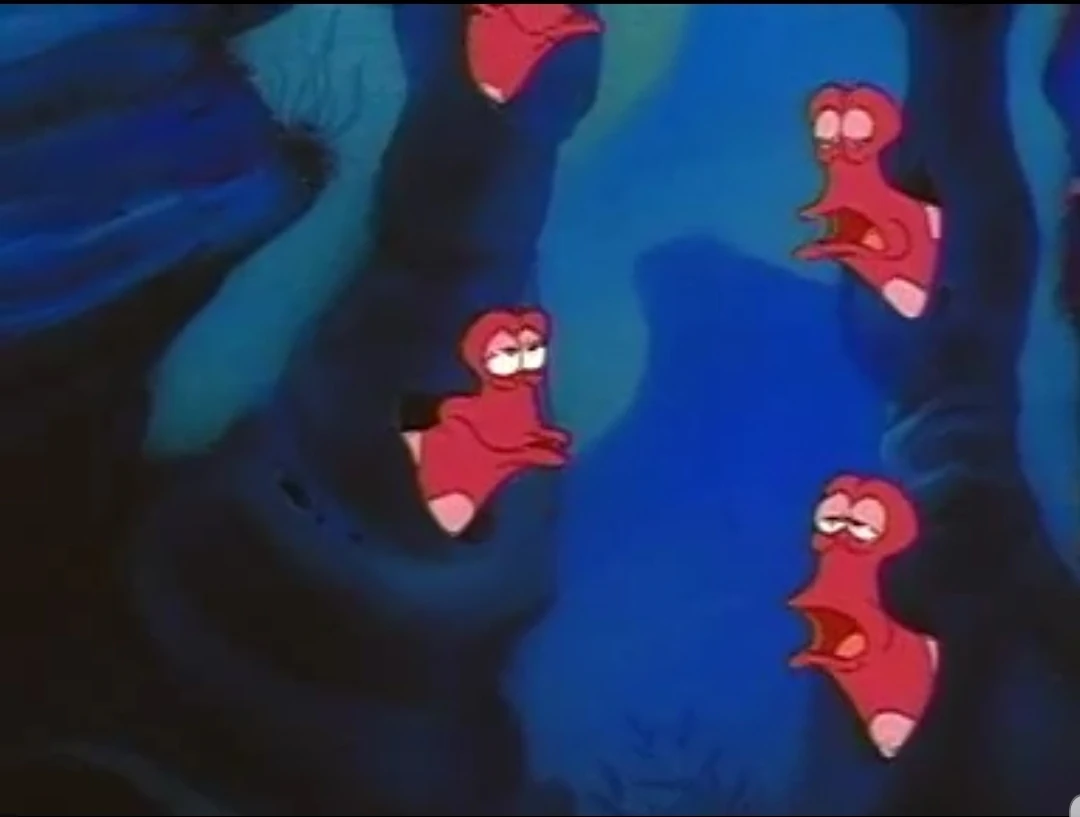 Lamp Shell | Animals Wiki | Fandom