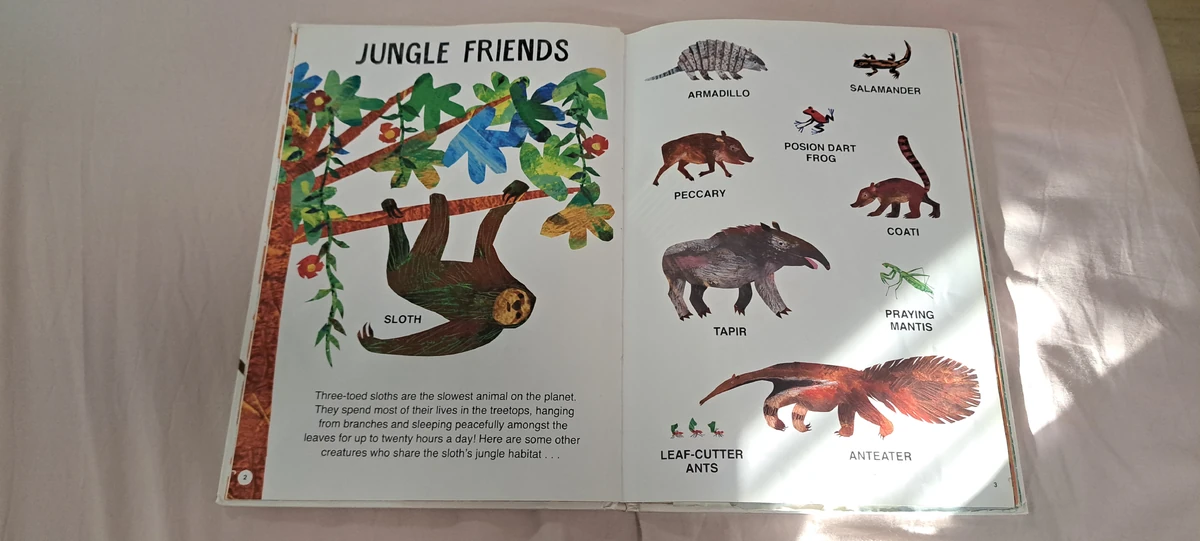 List of Species in Eric Carle's Book of Amazing Animals | Animals Wiki ...