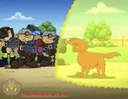 Irish Setter | Animals Wiki | Fandom