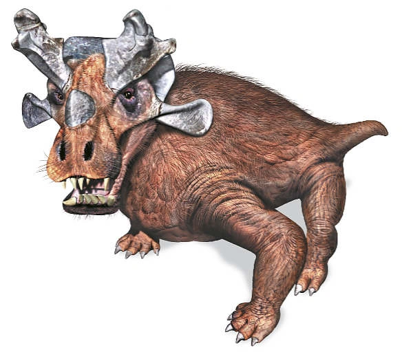 Estemmenosuchus | Animals Wiki | Fandom