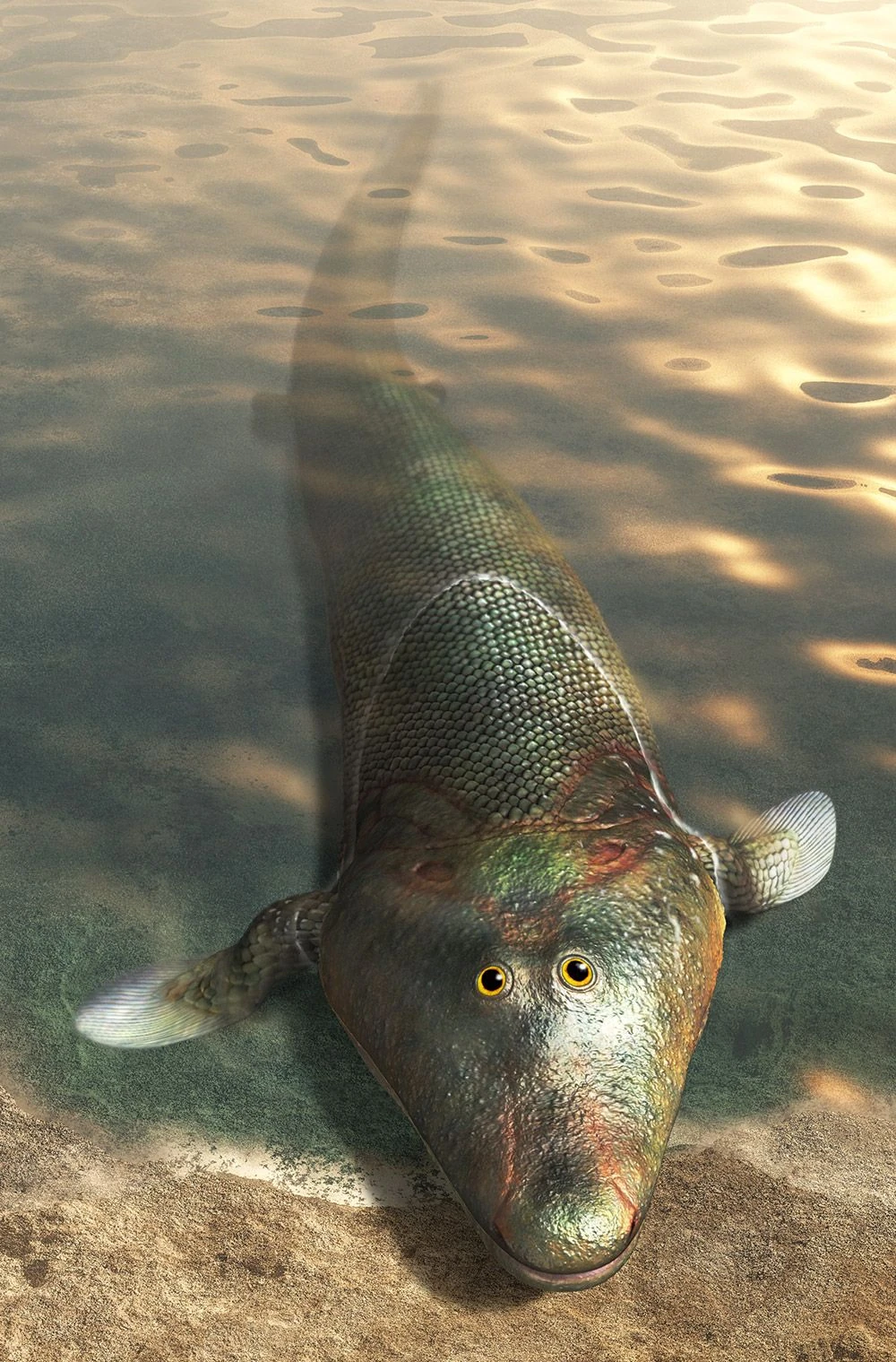 Tiktaalik | Animals Wiki | Fandom