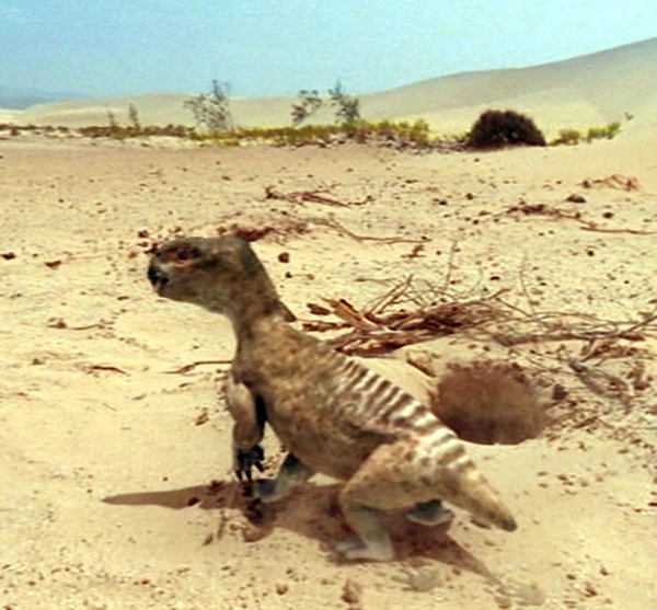 Diictodon | Animals Wiki | Fandom