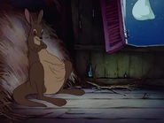 List of Species seen in Dumbo | Animals Wiki | Fandom