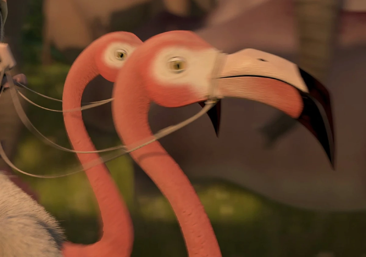 Greater Flamingo/Gallery | Animals in Movies and TV Shows Wiki | Fandom