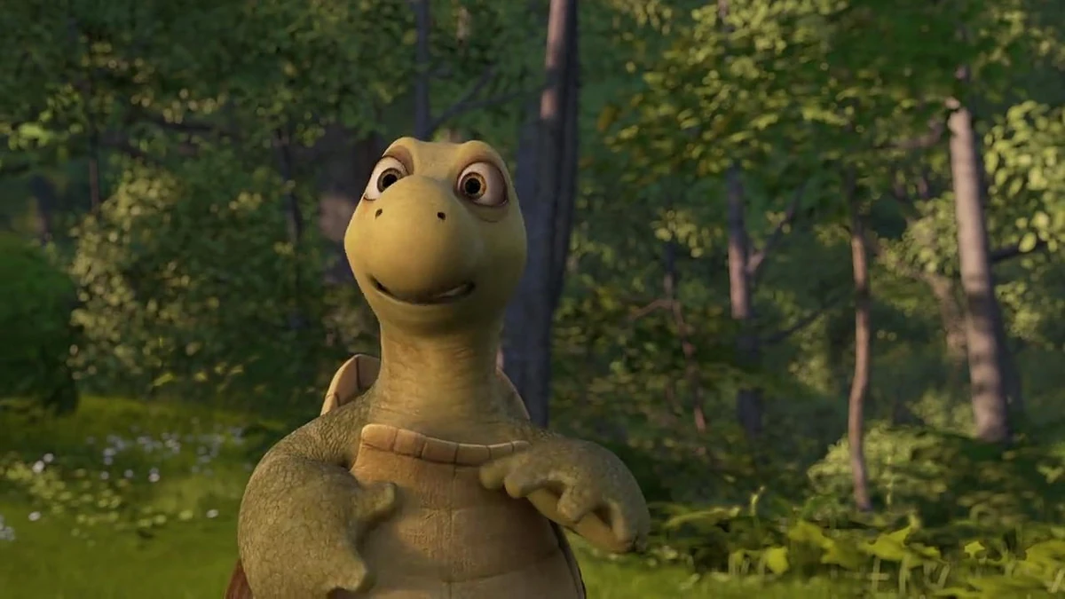 Box Tortoise/Gallery | Animals in Movies and TV Shows Wiki | Fandom