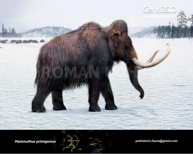 Woolly Mammoth | Animals, Mythical Creatures, Plants, And Microbes ...