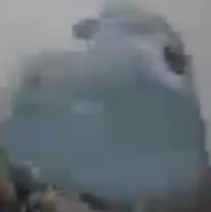 Inke | Animals Nextbots Wiki | Fandom