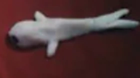 Polymer Seal | Animals Nextbots Wiki | Fandom