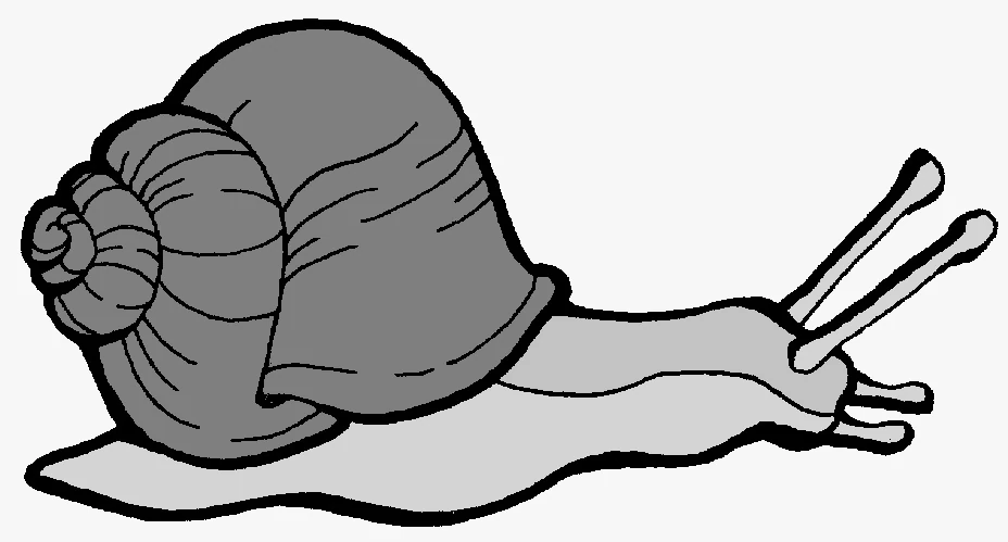 Slowpoke the Snail | Animals Turned Into Stone Wiki | Fandom