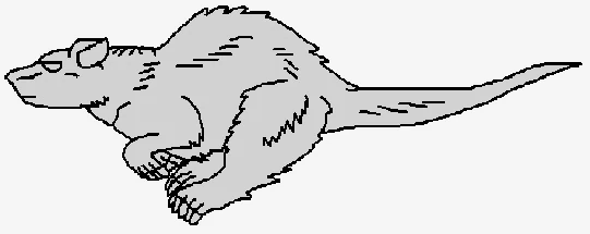 Ratrex the Rat | Animals Turned Into Stone Wiki | Fandom