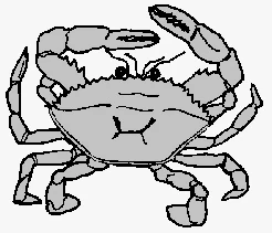 Crabbit the Crab | Animals Turned Into Stone Wiki | Fandom