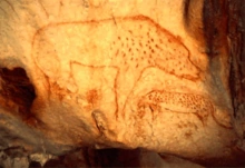 European Ice Age Leopard | Animal Database | Fandom