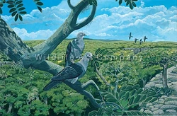 Rodrigues Pigeon | Animal Database | Fandom