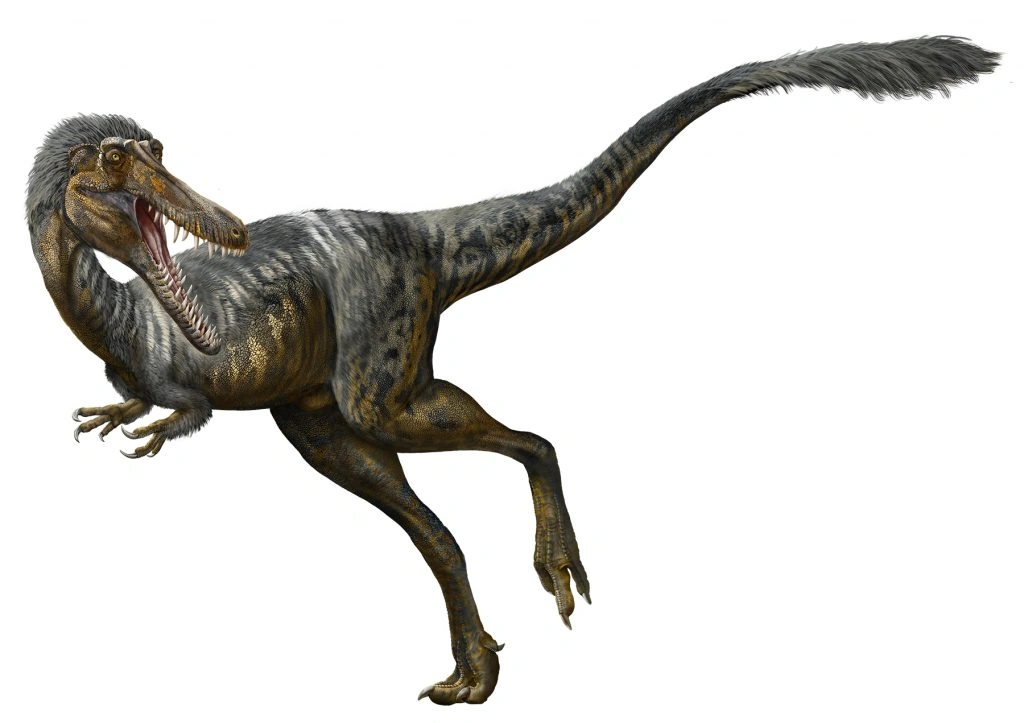Xiongguanlong | Animal Database | Fandom