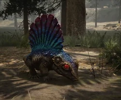 Platyhystrix | Animal Database | Fandom