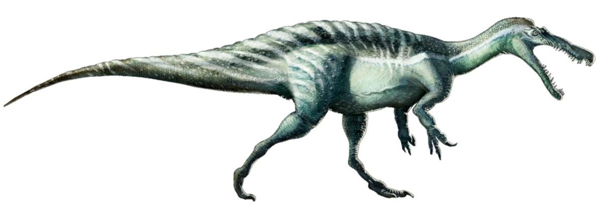 Suchomimus | Animal Database | Fandom