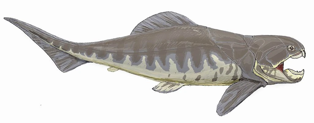 Dunkleosteus | Animal Database | Fandom