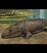 Ichthyostega | Animal Database | Fandom