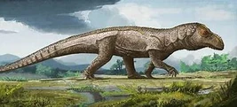 Mandasuchus | Animal Database | Fandom