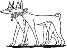 Tesem | Animal Database | Fandom