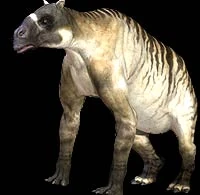 Ancylotherium Skeleton