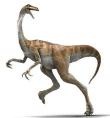 Gallimimus | Animal Database | Fandom