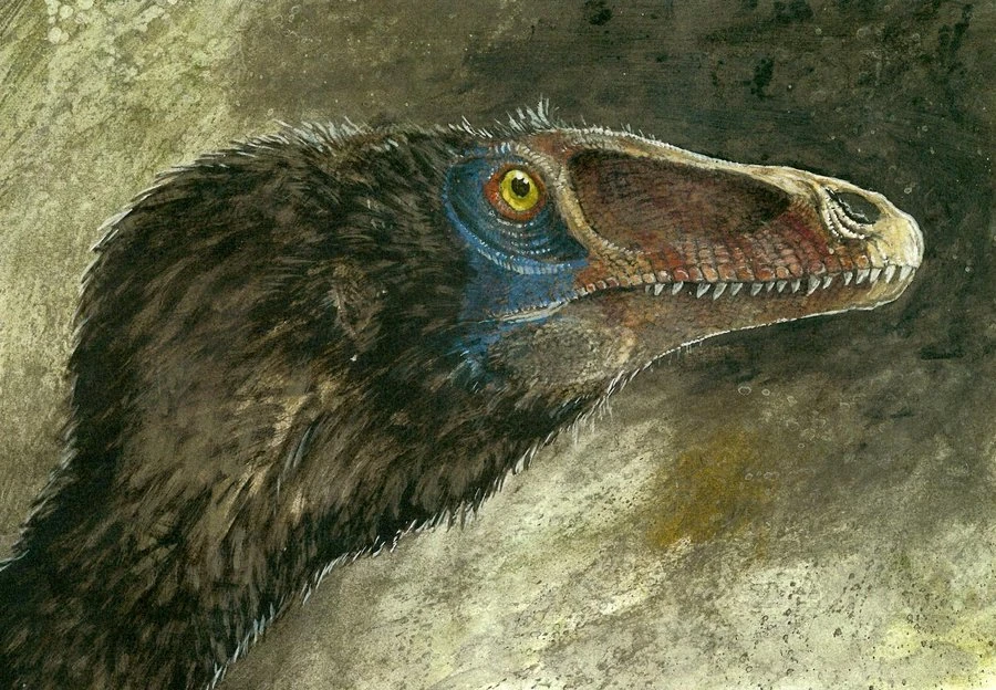 Deinonychus | Animal Database | Fandom