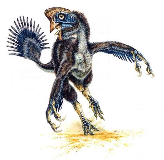 Hagryphus | Animal Database | Fandom