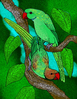 Rodrigues Parrot | Animal Database | Fandom