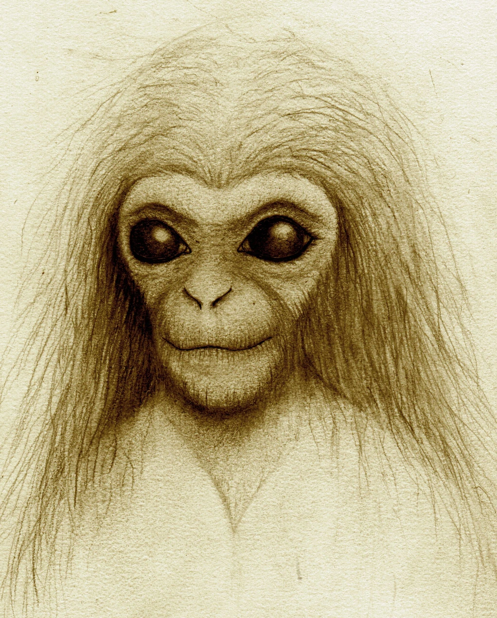 Humanzee | Animal Database | Fandom