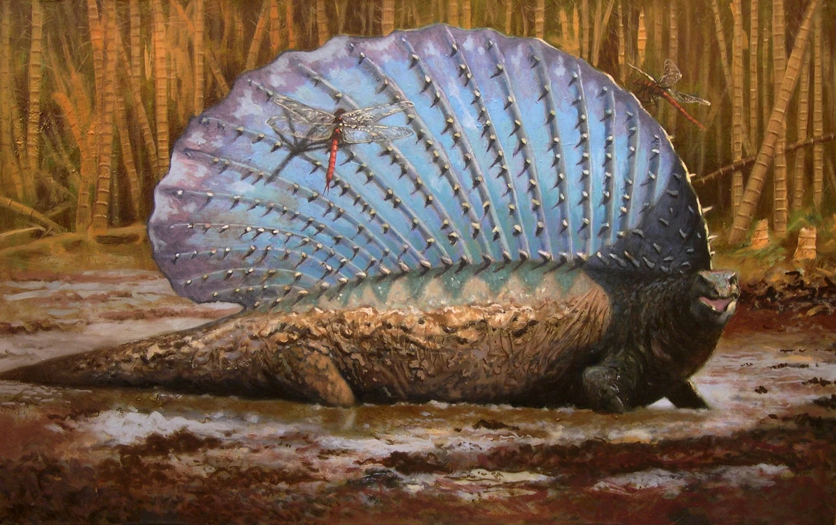 Edaphosaurus | Animal Database | Fandom