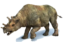 Uintatherium | Animal Database | Fandom