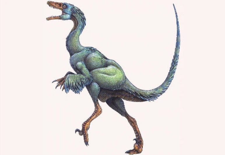 Troodon Sapien
