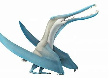 Barbosania | Animal Database | Fandom