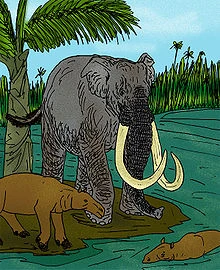 African Mammoth | Animal Database | Fandom