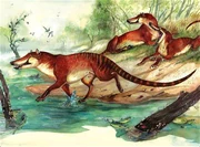 Pakicetus | Animal Database | Fandom