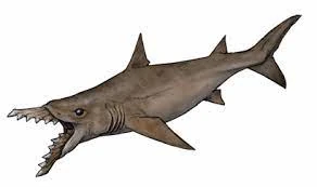 Category:Extinct Sharks | Animal Database | Fandom