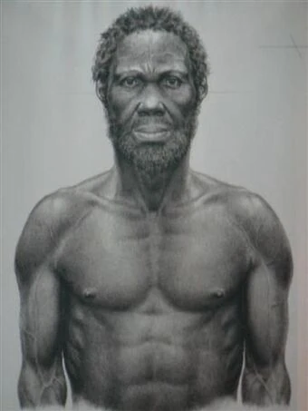 Herto Man | Animal Database | Fandom