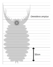 Omnidens | Animal Database | Fandom