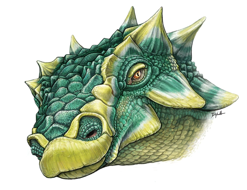 Zuul | Animal Database | Fandom