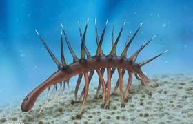 Hallucigenia | Animal Database | Fandom