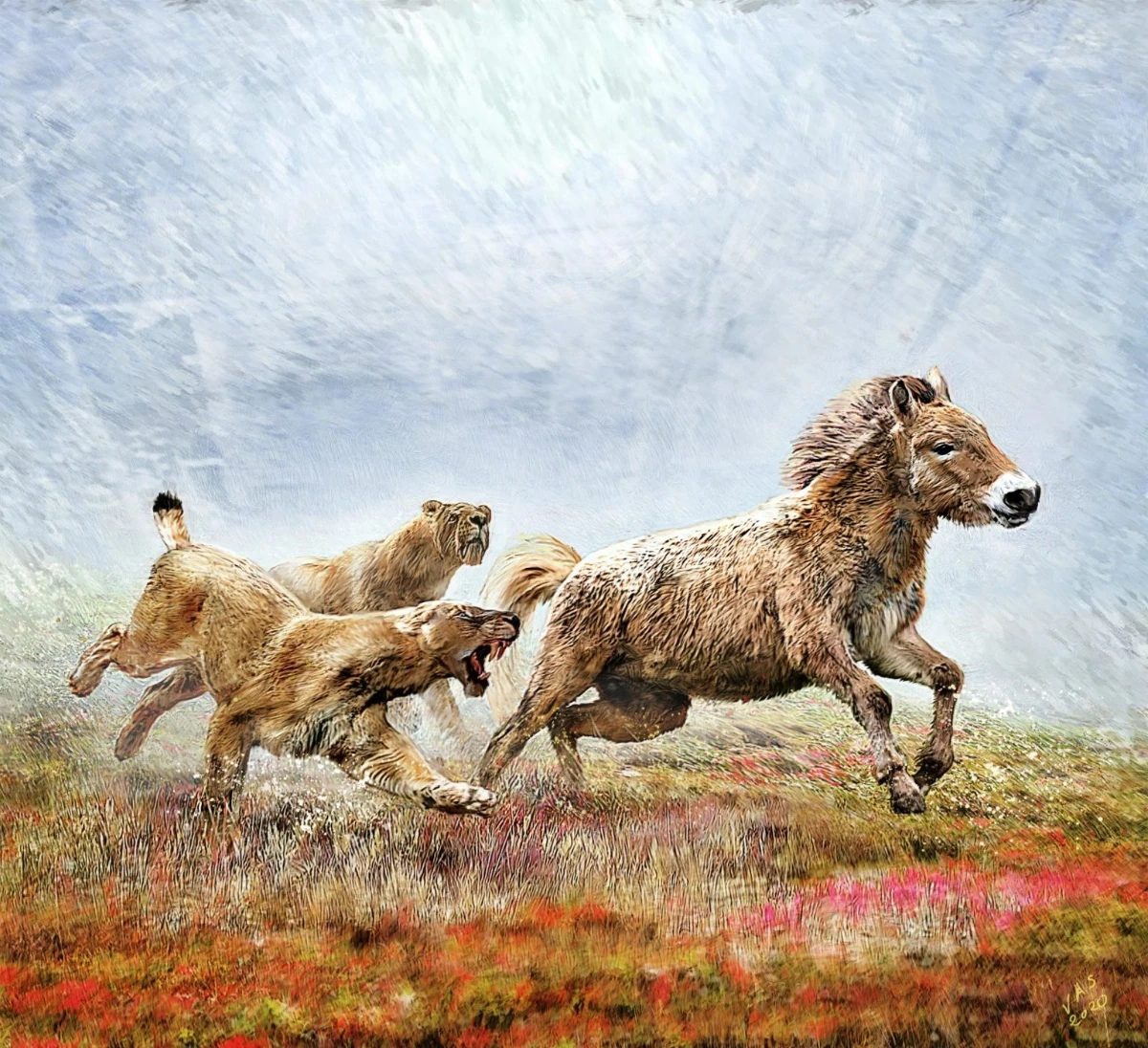 Homotherium Venezuelensis