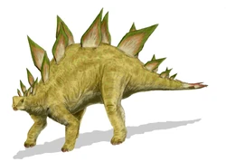 stegoslidon