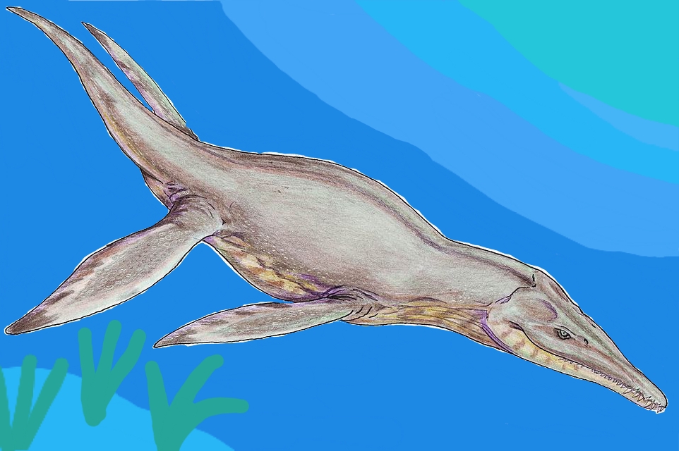 Pliosaurus | Animal Database | Fandom