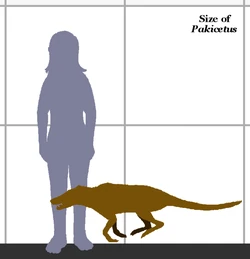 Pakicetus Habitat