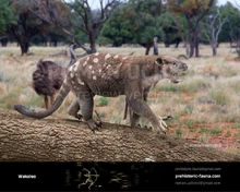 Wakaleo | Animal Database | Fandom