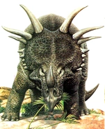 Styracosaurus | Animal Database | Fandom