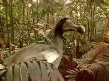 Extinct Animals | Animal Database | Fandom