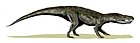 Caririsuchus | Animal Database | Fandom