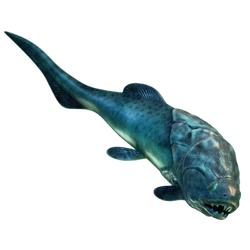 Coccosteus | Animal Database | Fandom